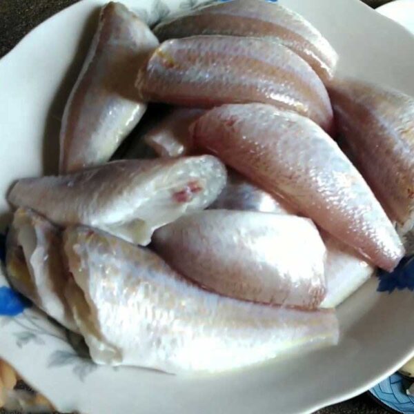 Cá Đổng Làm Gì Ngon ? Tổng Hợp Món Ngon Từ Cá Đổng Đừng Bỏ Lỡ